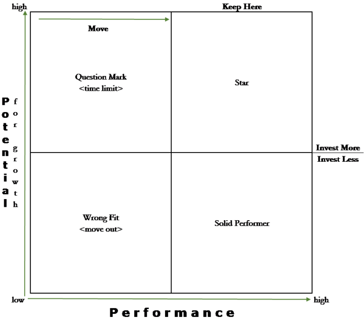 Performance Potential Matrix – TeamStrength, Inc.